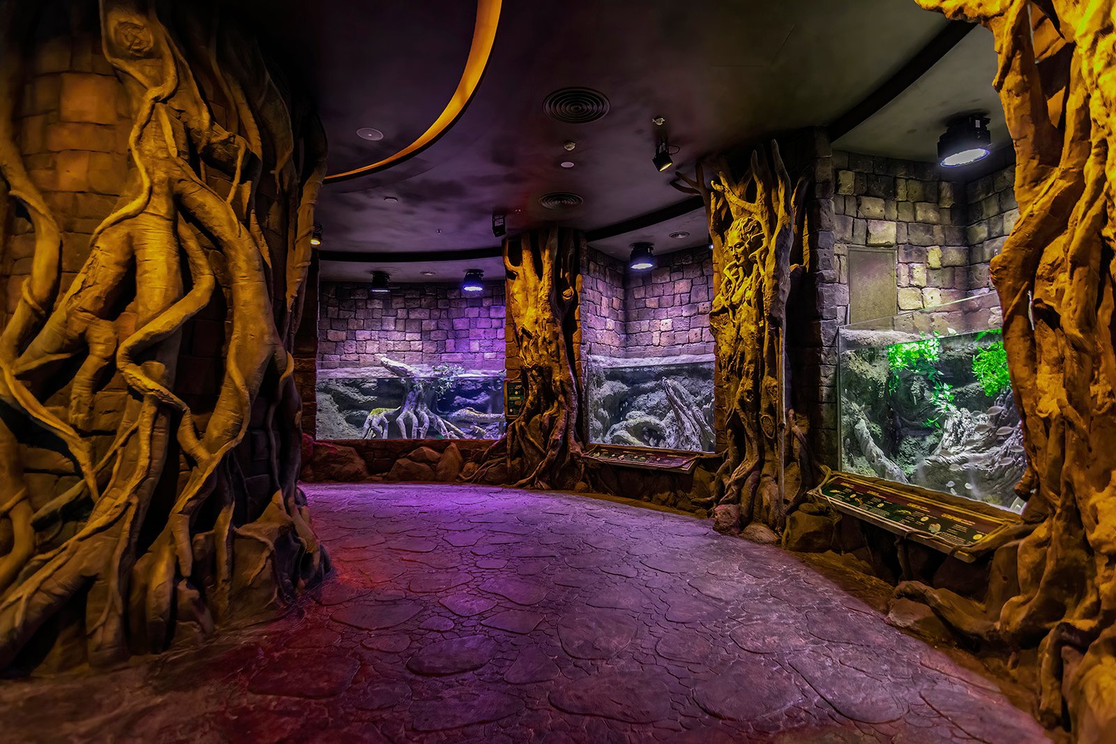 The Largest Aquarium in Vietnam: Sea Shell Aquarium - Adec LSS Website